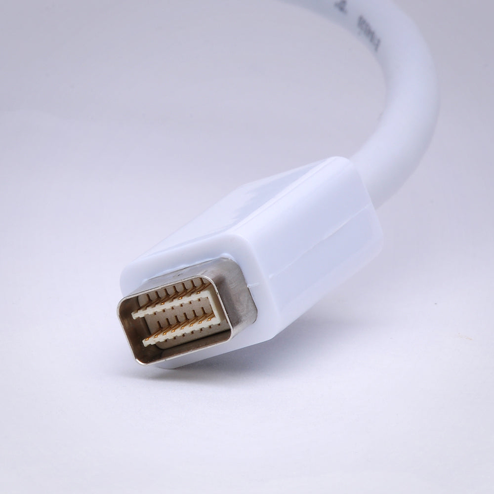 1ft Mini DVI to DVI and HDMI Adapter Cable - FireFold